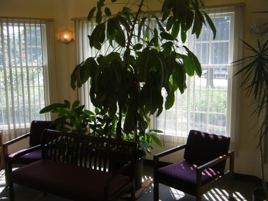 MAURY LOONTJENS MEMORIAL LIBRARY - Updated September 2025 - 17 Photos ...