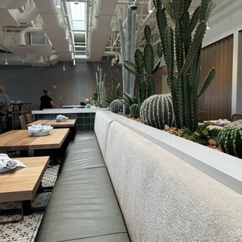 PERCH CANTINA - Updated February 2025 - 49 Photos & 66 Reviews - 592 ...