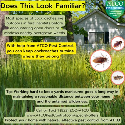 ATCO PEST CONTROL - Updated October 2025 - 21 Photos & 183 Reviews - 26 ...