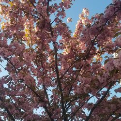 GOOD SAMARITAN REGIONAL MEDICAL CENTER - 16 Photos & 48 Reviews - 3600 ...