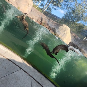 EDMONTON VALLEY ZOO - Updated February 2025 - 175 Photos & 70 Reviews ...