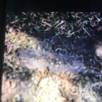 STOCKTON RURAL CEMETERY - Updated October 2025 - 16 Photos & 12 Reviews ...