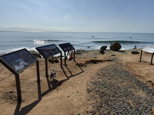 POINT LOMA TIDE POOLS - Updated June 2026 - 1010 Photos & 141 Reviews ...