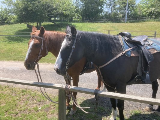 RUSTIC RIDES FARMS - Updated September 2025 - 34 Photos & 52 Reviews ...