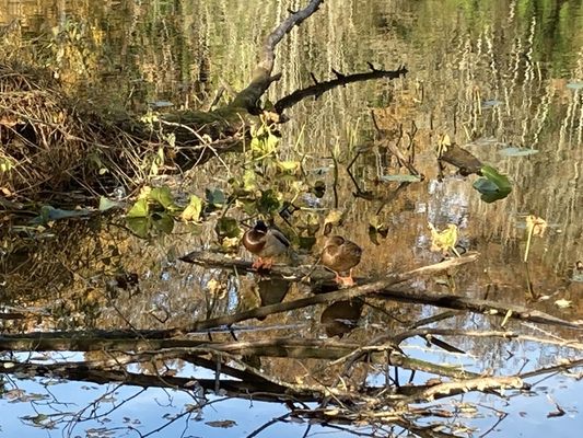 LAKE FENWICK PARK - Updated October 2024 - 114 Photos & 28 Reviews ...