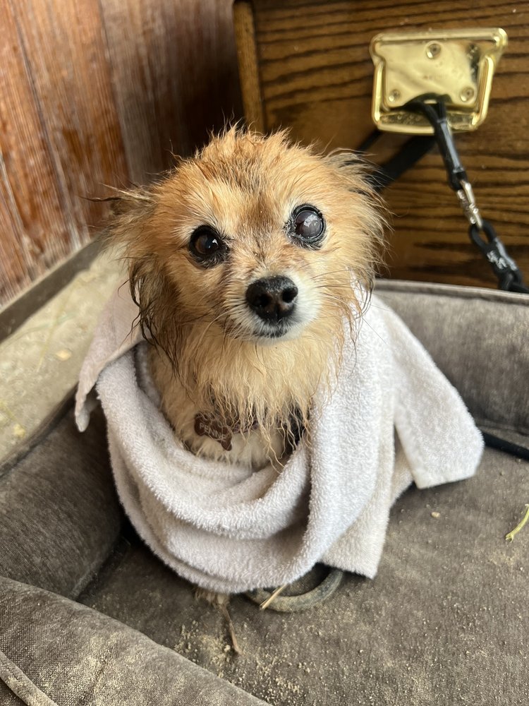 LAMPLIGHT EQUESTRIAN CENTER INC - Updated July 2025 - 6N940 Dunham Rd ...