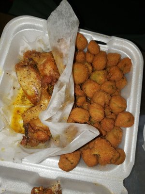 Photos of WILD OVER WINGS - Updated August 2024 - 35 Photos & 67 ...