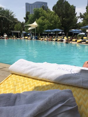 ARIA SKY POOL - 55 Photos & 29 Reviews - Swimming Pools - 3730 Las ...