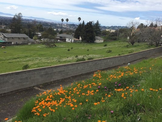 VISTA POST ACUTE - Updated October 2025 - 22 Photos & 13 Reviews - 3269 ...