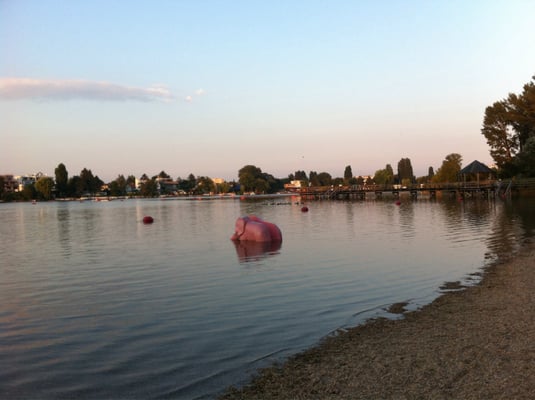 STRANDBAD ALTE DONAU - Updated November 2024 - Arbeiterstrandbadstr. 91 ...