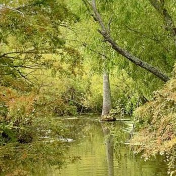 STUMPY LAKE NATURAL AREA - Updated October 2025 - 248 Photos & 20 ...