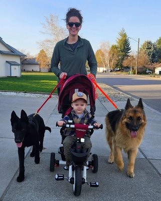 K9 COUNTRY CLUB - Updated July 2025 - 85 Photos & 108 Reviews - 19223 E ...