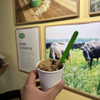 PITANGO GELATO & COFFEE - Updated December 2025 - 677 Photos & 803 ...