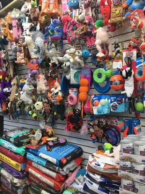 PET ISLAND - Updated November 2024 - 15 Photos & 47 Reviews - 1050 ...