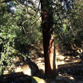 SCICON - Updated August 2025 - 13 Reviews - 41569 Bear Creek Rd ...