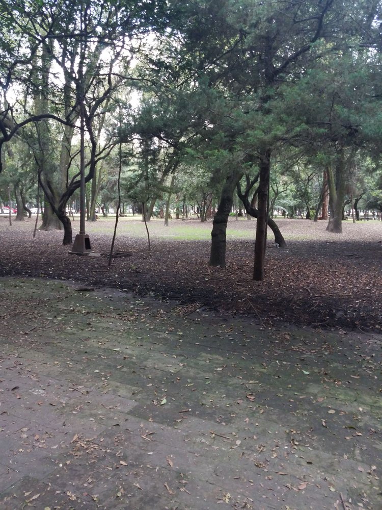PARQUE GANDHI - Fitness & Instruction - Bosque de Chapultepec, México ...
