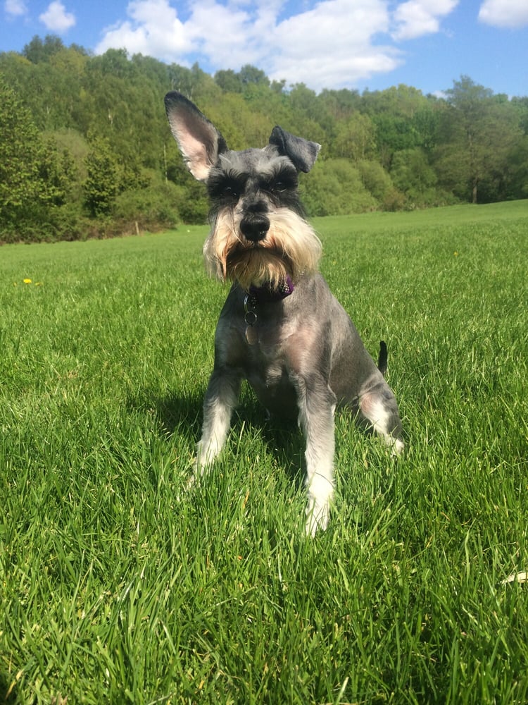 DRINKWATER PARK - Updated February 2025 - Rainsough Brow, Prestwich ...