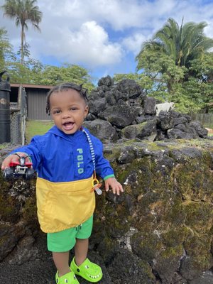 PANA’EWA RAINFOREST ZOO & GARDENS - Updated August 2025 - 906 Photos ...