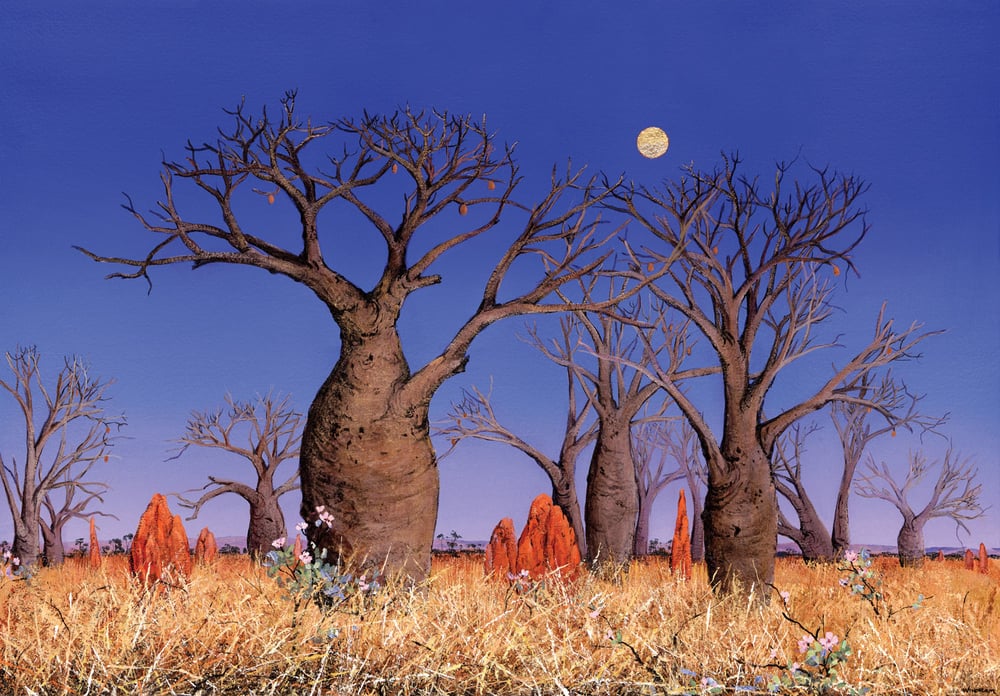 WINDRAM ART - 121 Belltonia Way, Vasse Western Australia, Australia ...