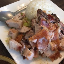 GOLDEN DAISY RESTAURANT - Updated December 2025 - 117 Photos & 87 ...