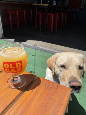 OLD CAZ BEER - 84 Photos & 43 Reviews - 5625 State Farm Dr, Rohnert ...