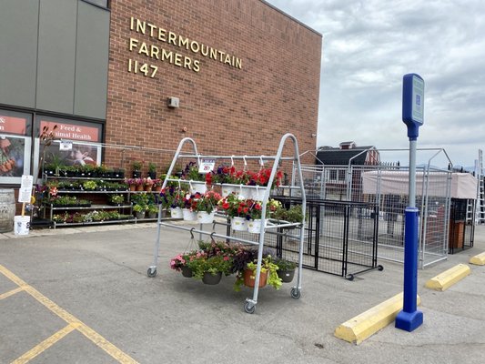 IFA COUNTRY STORE - SALT LAKE CITY - Updated August 2025 - 11 Photos ...