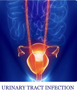 GRIFFITH UROLOGY - Updated September 2025 - 575 S Wickham Rd, Melbourne, Florida - Urologists ...