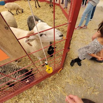 GOEBBERT’S FARM PINGREE GROVE - Updated October 2025 - 47 Photos & 11 ...