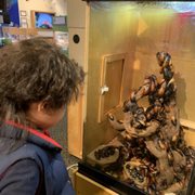 WONDERLAB MUSEUM OF SCIENCE HEALTH & TECHNOLOGY - 137 Photos & 28 ...