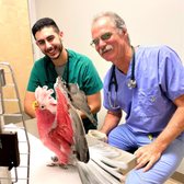 MEDICAL CENTER FOR BIRDS - 65 Photos & 119 Reviews - 3807 Main St ...