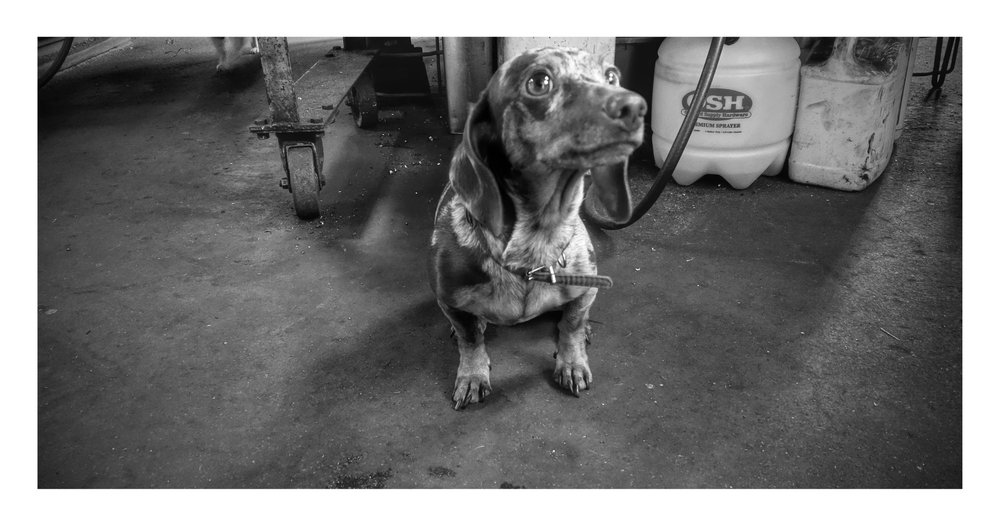 HOWLETT MACHINE WORKS - Updated July 2025 - 10 Photos - 746 Folger Ave ...