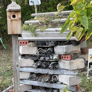 CULLIPHER FARM - TEMP. CLOSED - Updated December 2025 - 416 Photos & 66 ...