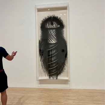 THE MUSEUM OF CONTEMPORARY ART - Updated May 2024 - 1816 Photos & 454 ...