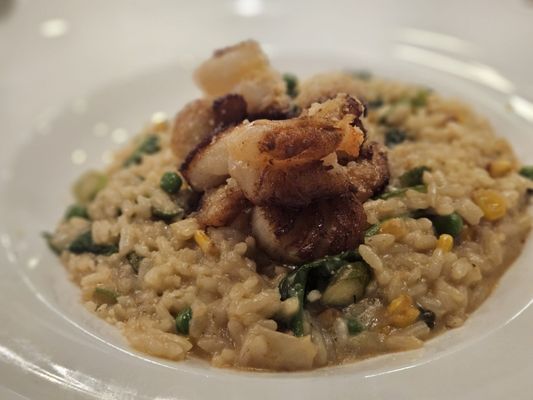 COOPER’S HAWK - WESLEY CHAPEL - Updated August 2025 - 487 Photos & 233 ...