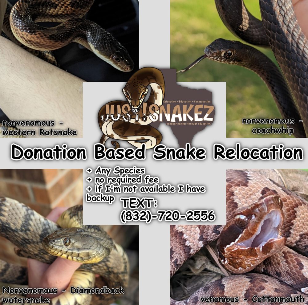 JUST SNAKEZ - Updated September 2024 - Request Information - Fresno, Texas - Wildlife Control ...