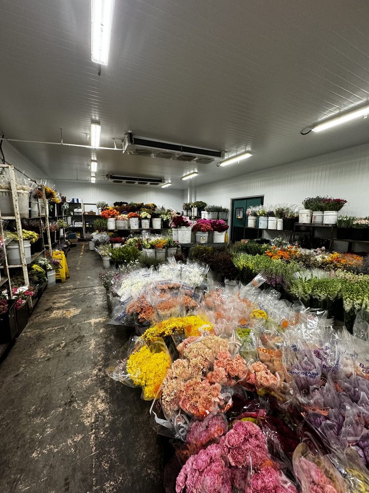 CALIFORNIA FLOWER SHIPPERS - Updated September 2024 - 76 Photos & 43 ...