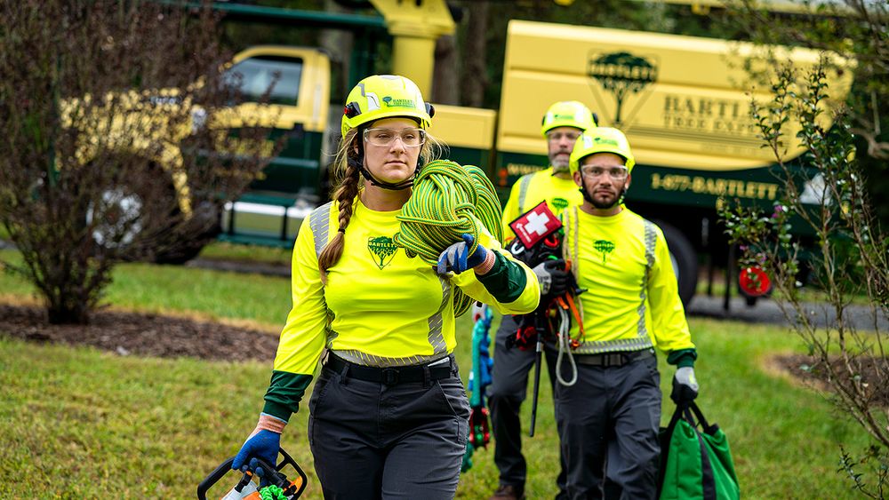 BARTLETT TREE EXPERTS - Updated April 2026 - 57 Photos & 22 Reviews ...