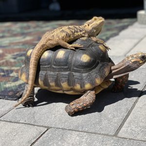 ULTIMATE TREASURE HUNTS - Updated July 2025 - Exeter, New Hampshire ...