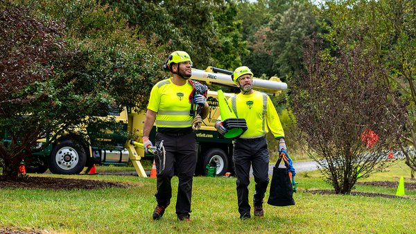 BARTLETT TREE EXPERTS - Updated December 2025 - 57 Photos & 23 Reviews ...