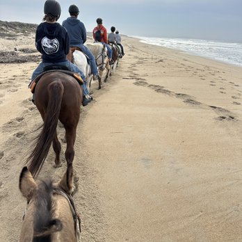MONTEREY BAY EQUESTRIAN CENTER - Updated June 2024 - 334 Photos & 247 ...