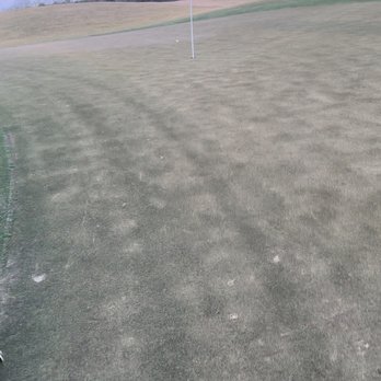 WILDCAT GOLF CLUB - Updated October 2025 - 71 Photos & 70 Reviews ...