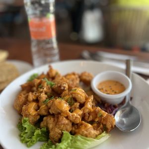 ANIMAL TIJUANA - Updated December 2025 - 15 Photos - Blvd. Agua ...