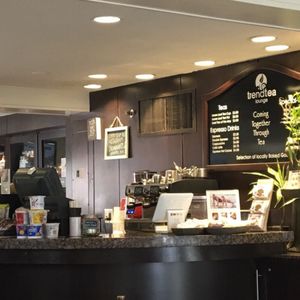 TREND TEA - 40 Photos & 30 Reviews - 1950 Glades Rd, Boca Raton, FL - Yelp