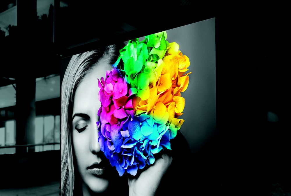 ROLAND DGA CORPORATION - Updated January 2026 - 12 Reviews - 15363 ...