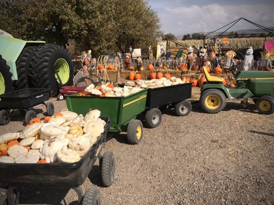 SWORE FARMS - Updated December 2025 - 30 Photos - 225 Ballard Rd ...