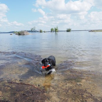 BEALS POINT CAMPGROUND - Updated June 2024 - 53 Photos & 28 Reviews ...