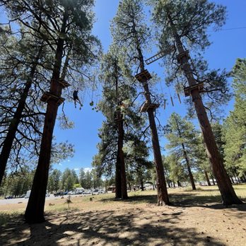 FLAGSTAFF EXTREME ADVENTURE COURSE - Updated April 2025 - 341 Photos ...