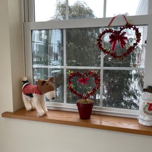 WAYNE COUNTY HUMANE SOCIETY - Updated February 2025 - 1161 ...