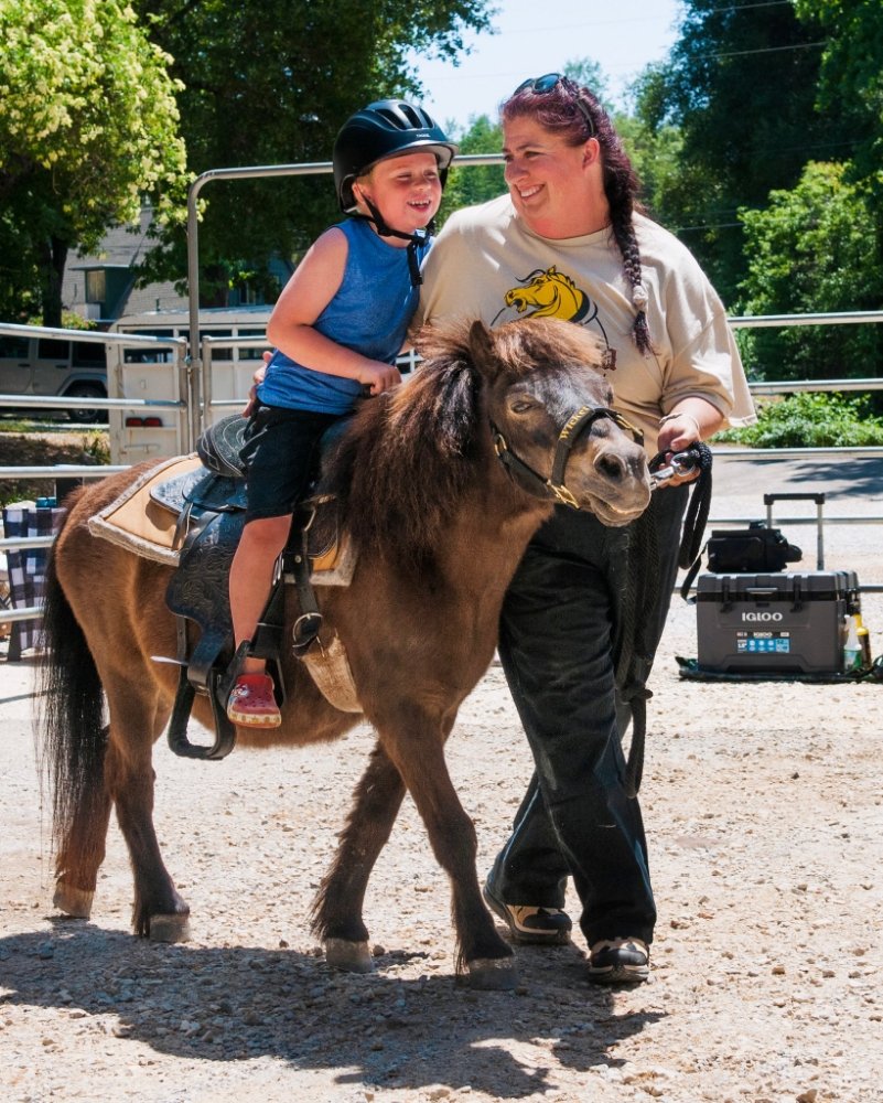 COLUMBIA STAGE LINE AND STABLE - 11551 Yankee Hill Rd, Columbia ...