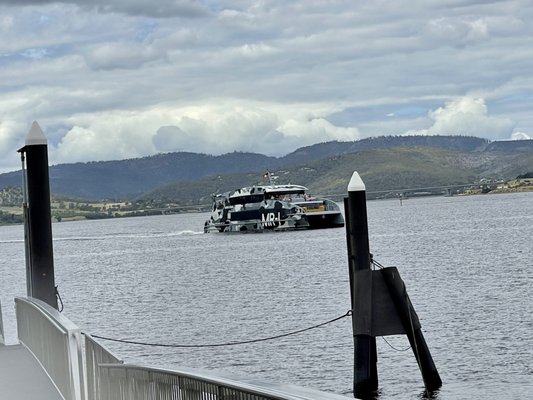 MONA FERRY - Updated May 2026 - 98 Photos & 24 Reviews - Franklin Wharf ...